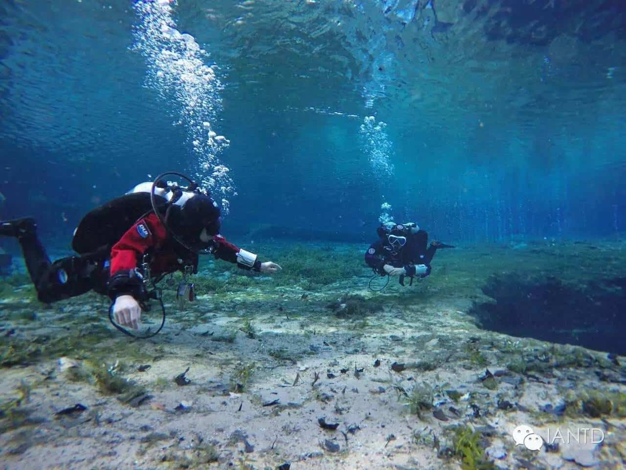 IANTD公众号:谁家的IANTD技潜这么会玩？ – MWDF潜水学院
